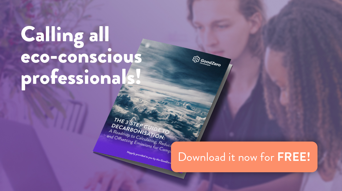 The 3-Step Guide to Decarbonisation